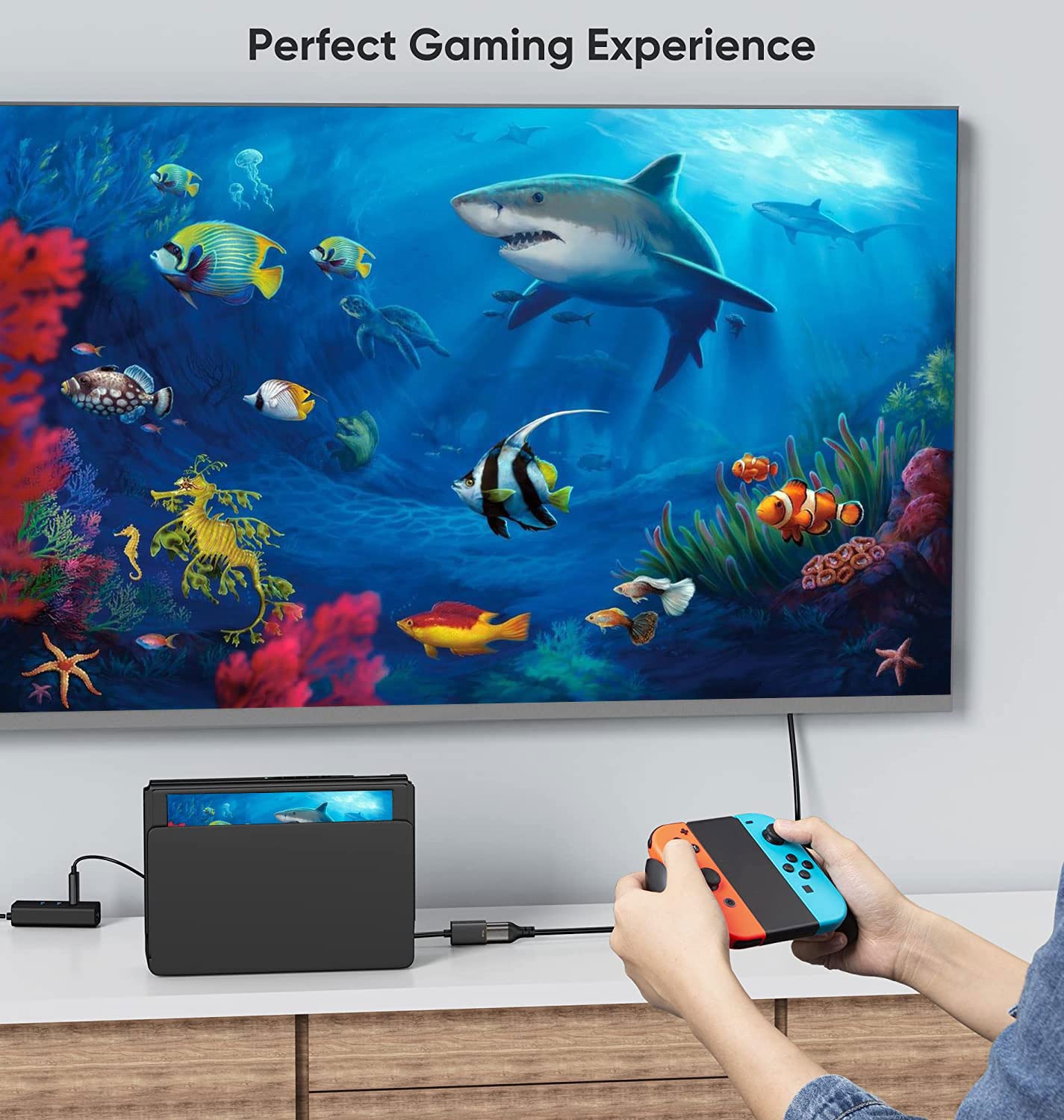 CableCreation HDMI to DisplayPort Adapter with USB Power, 4K X 2K@60Hz HDMI Male to DP Female Adapter Compliant with Xbox One/PS4/PS5
