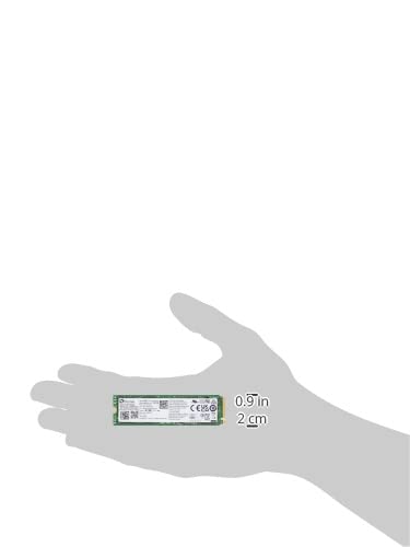 プレクスター Plextor Gen4 Compatible Internal SSD M.2 NVMe Model 2TB [ PX-2TM10PGN ]