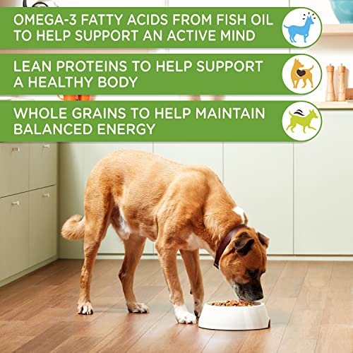 Rachael Ray Nutrish Chunks in Gravy Wet Dog Food Real Chicken & Veggies Recipe, 13 Ounce (Pack of 12)