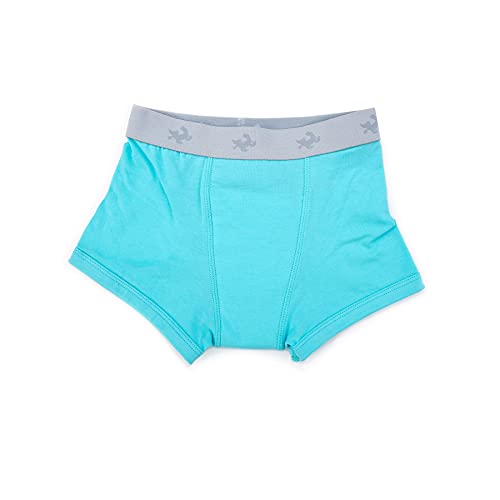 CONNI Kids Training Boxer Pants Soft Shorts Reusable Toddler Potty Training Underwear Waterproof Easy Pull Up Youth Incontinence Aqua Sizes 8-10