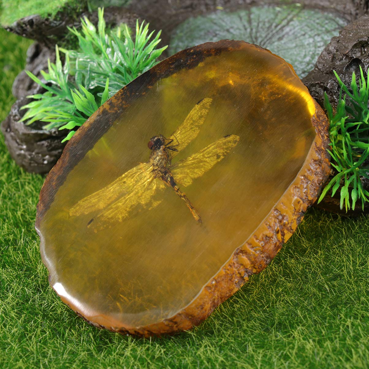 Amber,Artificial Amber Specimen Pendant Butterfly Scorpions Insects Amber Stone Ornament for Collection(Dragonfly)