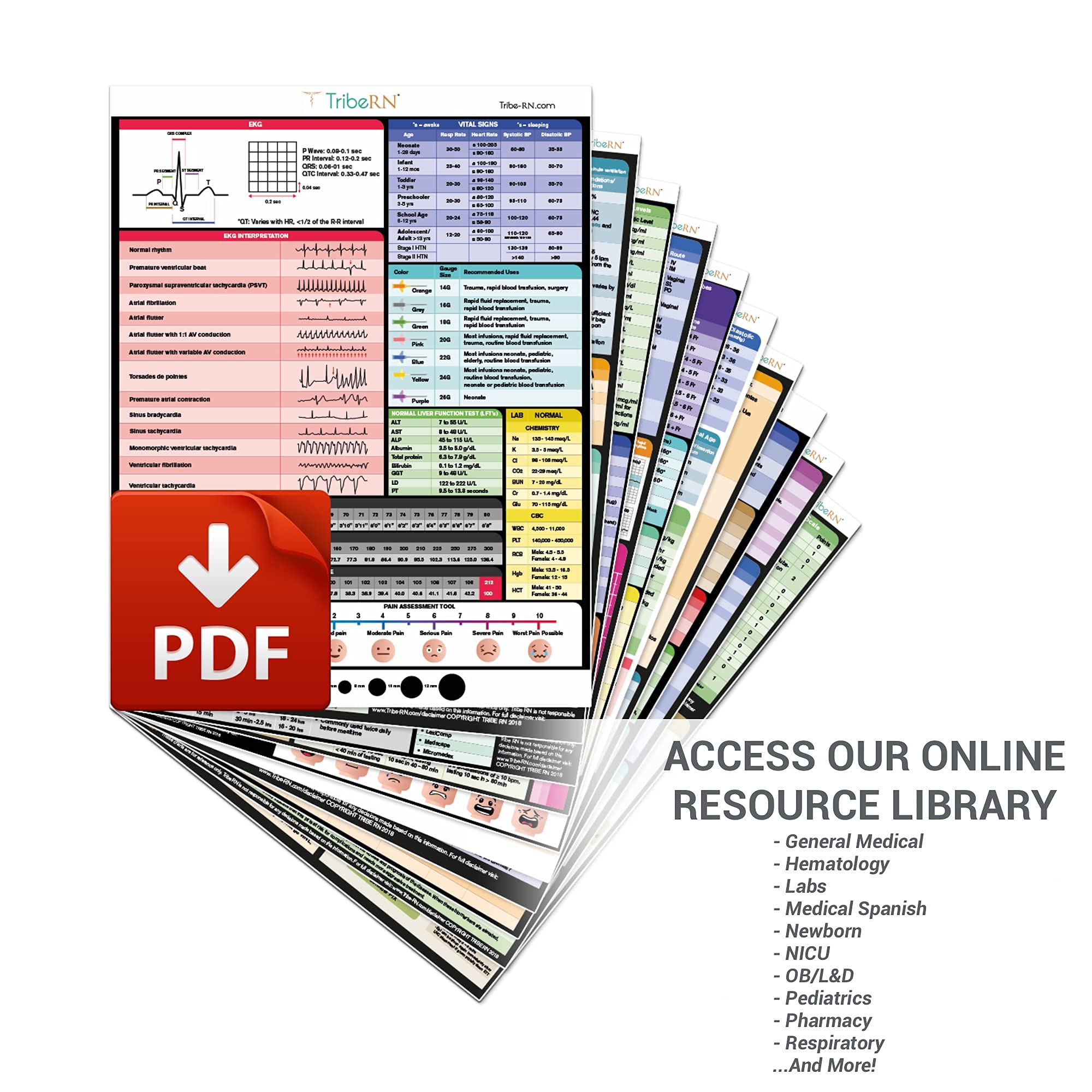Nursing Badge Reference Cards (Inverted) and Scrub Pocket Cheat Sheet Bundle - 26 Badge Cards and 106 Pocket Nursing Cheat Sheets
