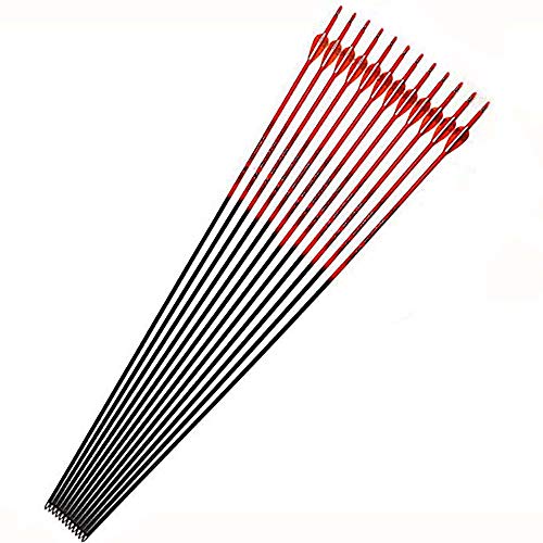 12 Pack Fletched Carbon Arrows ID 4.2mm 31" Shaft Spine 800 Archery Practice Target Hunting Arrow with Replaced Tip 80 Grain Broadheads Arrowhead for Compound Recurve Bow Orange
