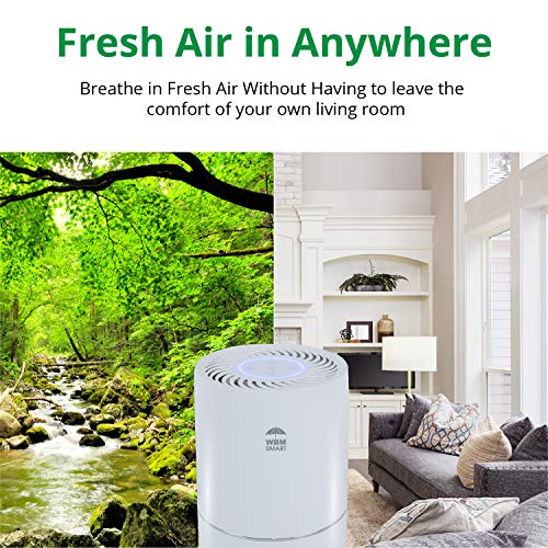 HEPA Filter Air Purifier for Extra Large Room, 25db Quiet Cleaner for Virus, Bacteria, Pollen, Smoke, Dust, White