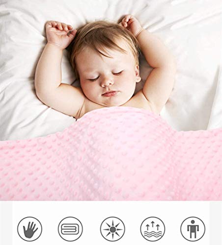 Baby Blanket Super Soft Minky Blanket with Double Layer Dotted Backing Pink Flamingo Security Blanket for Newborns Nursery Stroller Receiving Toddlers Crib Bedding for Boy or Girl(30 x 40 Inch)