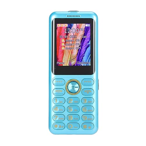 2G Phone, Big Button Cellphone One Button Flashlight 2500mAh Battery for Travel for Elderly (US Plug)
