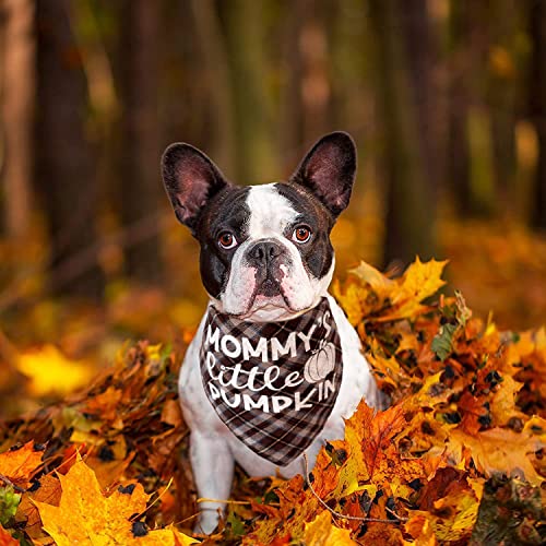 2 Pack Thanksgiving Dog Cat Bandana, Fall Autumn Buffalo Bandana for Small Medium Large Dogs Pets Puppies (Pattern 1, Large)