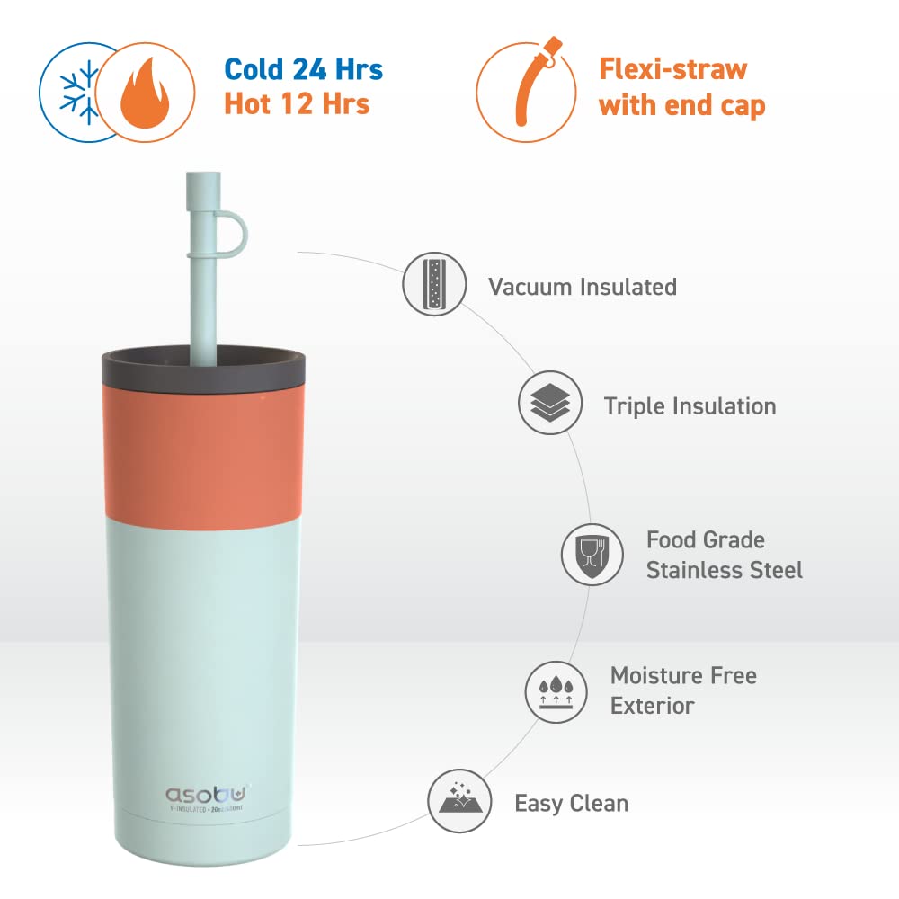 asobu Sippy Double Wall Stainless Steel 20 Ounce Tumbler with Silicone Flexible Straw, 20 Ounces (Pastel Teal)