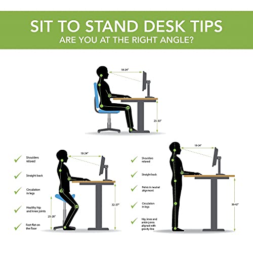 Bush Business Furniture Move 40 Series Electric Height Adjustable Standing Desk, 72W x 30D, Storm Gray