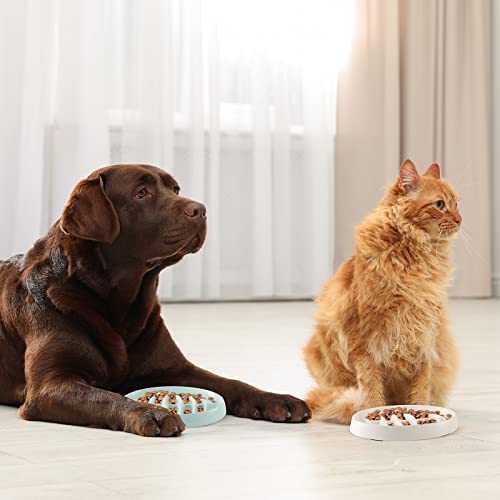 2 Pack Cat Slow Feeder Bowl Slow Feed Cat Dish Fishbone Cat Slow Feeder Small Interactive Puzzle Dog Feeder Dish Anti Gulping Pet Bowl for Cat and Dog Slow Eating to Against Bloat (White, Green)