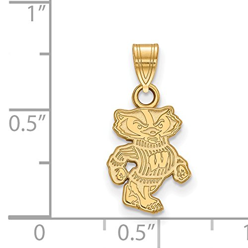 10k Yellow Gold University of Wisconsin Badgers Bucky Mascot Pendant 15x10mm
