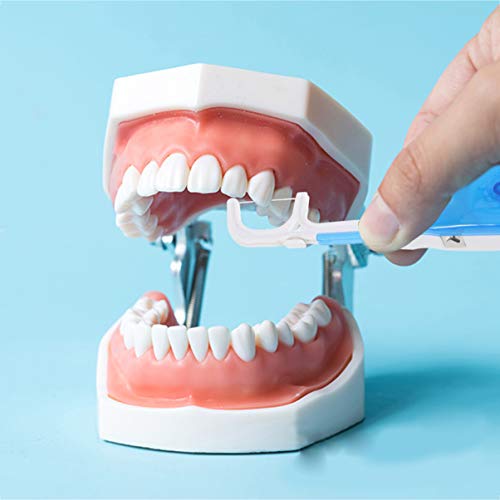 ARTIBETTER 2pcs Dental Floss Holder with 2pcs 30 Meters Dental Floss Dental Floss Replacement Rack for Oral Care (Blue)