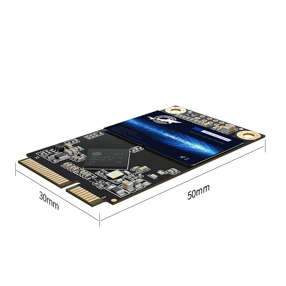 Dogfish mSATA SSD 256GB 3D NAND TLC SATA III 6 Gb/s, mSATA (30x50.9mm) Internal Solid State Drive - Compatible with Desktop PC Laptop - (MSATA 256GB)
