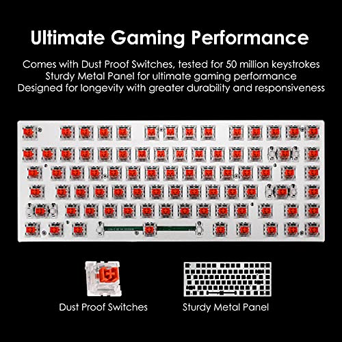 HUO JI 60% Mechanical Gaming Keyboard, E-Yooso Z-88 with Red Switches, Rainbow LED Backlit, Compact 81 Keys Hot Swappable, Silver and White