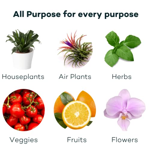 Fitleaf Leaf Vitality All Purpose 20-20-20 (3.52 oz) β Premium Foliar Feed Water Soluble Fertilizer to Spray for All Plants β Promotes Biomass Growth and Vibrant Leaf Color, Complete Plant Nutrition with Amino Acids (3.53 oz)