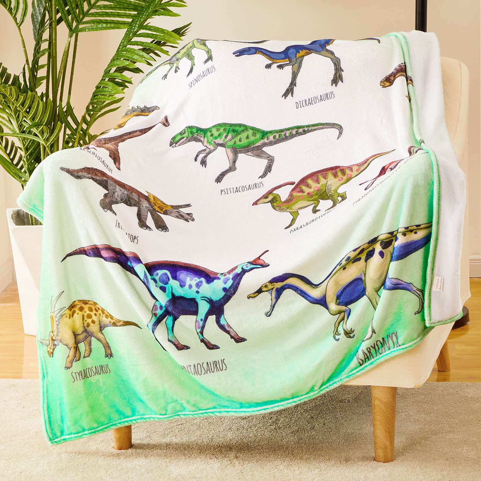 Dinosaur Throw Blanket 50 x 60 Inches Various Dinosaur Signs Blanket for Boys Fuzzy Soft Flannel Throw Blanket Decor for Kids Favor Living Room Bedroom Home Offices Supplies