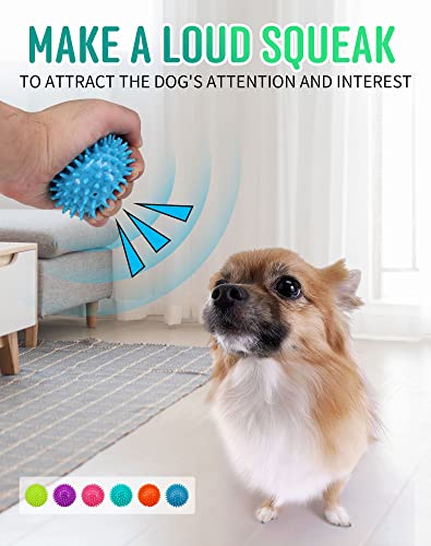 2.5" Squeaky Dog Balls for Small Medium Dogs, 6 Pack Small Dog Chew Toys with Spike, Puppy Toys for Teeth Cleaning and Training