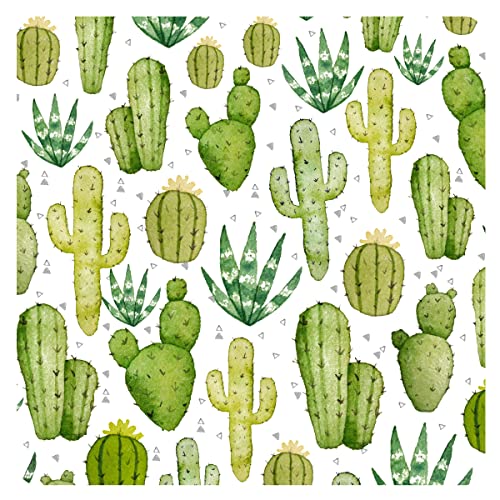 BapronBaby Desert Cactus Wet Dry Bag - Waterproof Two Zipper Pockets - Reusable for Mealtime, Diapers, Stroller, Snacks, Swimsuits - Machine Washable - 11" x 9"