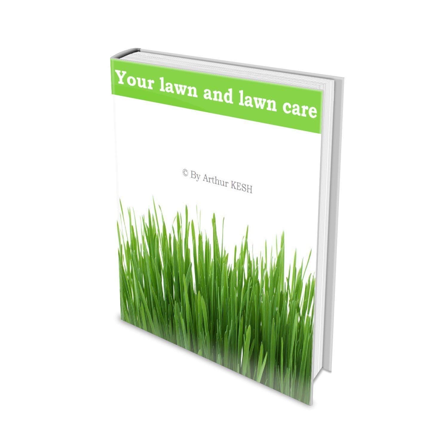 1-323631 OEM Toro Wheel Belts (Set of 2) Walk Behind Drive Belts + Free ebook - Your Lawn & Lawn Care -