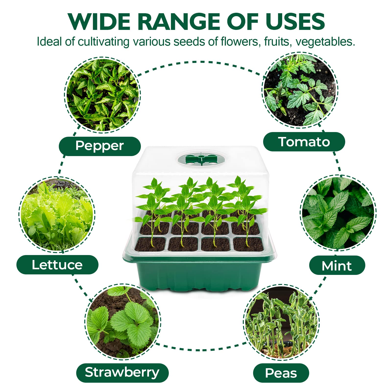 10 Packs Seed Starter Tray 120 Cell Seed Starter Kit Plant Starter Growing Trays with Humidity Adjustable Dome and Base Reusable Mini Greenhouse Plant Germination Tray for Indoors Seeds Sprout Growing