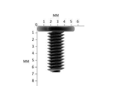 RapidSparesLtd 100 Pack of Black Zinc Laptop Screws Size M2.5x6MM PM2.5X6.0 M2.5X6L