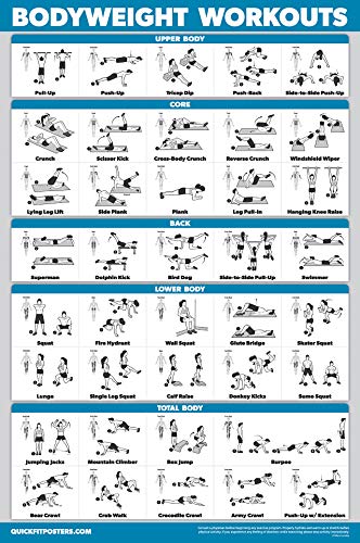 11 Pack - Exercise Poster Set: Dumbbell, Suspension, Kettlebell, Resistance Bands, Stretching, Bodyweight, Barbell, Yoga, Exercise Ball, Muscular System, Medicine Ball (LAMINATED, 18" x 24")