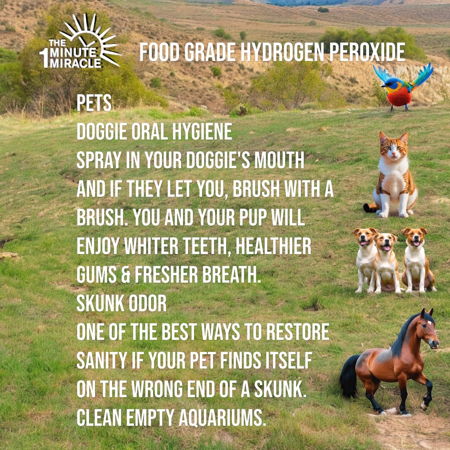 12% H2o2 Hydrogen Peroxide Medical Food Grade - 2 Bottles - 4 oz with Dropper Recommended by The One Minute Cure Book and by Professionals.