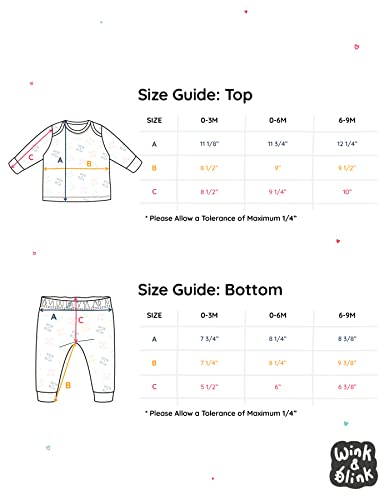 WINK & BLINK Artic Explorer Organic Baby Playwear Setss, 2-Pack Top & Bottom Set, 100% Organic Cotton Baby Clothes 9M