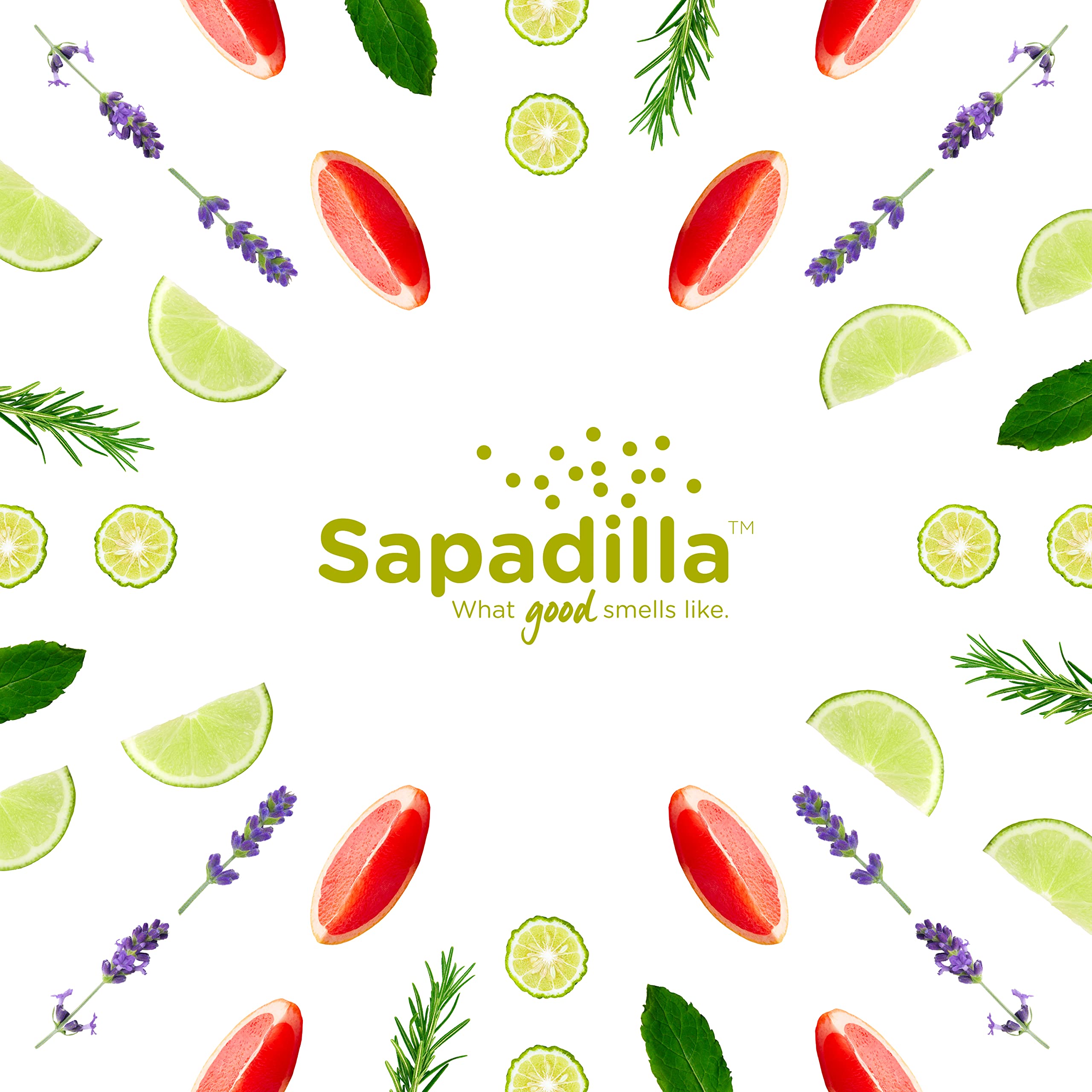 Sapadilla Liquid Hand Soap - Rosemary + Peppermint - Made with 100% Pure Essential Oil Blends, Cleansing & Moisturizing, Aromatic & Fragrant Hand Soap, Plant Based, Biodegradable, 12 Ounce (Pack of 2)