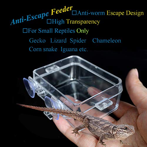 Fuongee Reptile Gecko Feeder Dish Bowl Chameleon Worm Anti-Escape Bowl Suction Cup Feeder for Reptiles, 1 Feeder and 2 Feeding Tong