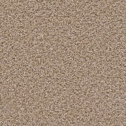 3'x5' - Speckled Stone ECONOMICAL Solutions Collection | Custom Carpet Area Rugs & Runners - 25 Oz. Soft Textured 100% PureColor BCF Polyester. FHA Approved-CRI Green Label-Made in U.S.A.