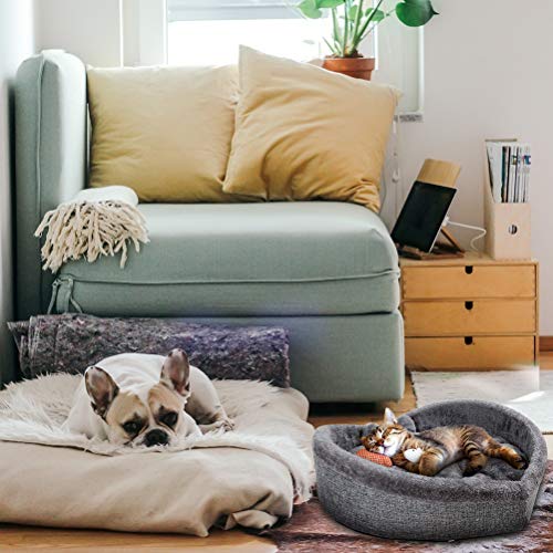 Cat Bed - Heart Pet Bed for Cats or Small Dogs, Ultra Soft Short Plush, Anti-Slip Bottom, Washable High Resilience PP Cotton, Comfortable Self Warming Autumn Winter Indoor Sleeping Cozy Kitty Teddy