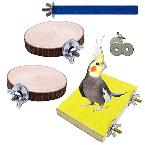 PINVNBY Colorful Bird Perch Stand Platform Sand Paw Grinding Stick Wood Parrot Stand Platform for Cockatiels Parakeets Canaries Hummingbird Little White Budgie（4 PCS+Color Random）