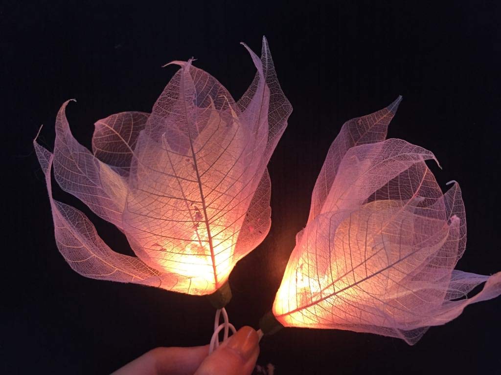 20 LED String Lights Pink Flower Fairy String Lights Leaves for Bedroom Window Curtain String Light Wedding Party Garden Outdoor Indoor Wall Decorations, Diameter 10cm (Long 9ft)