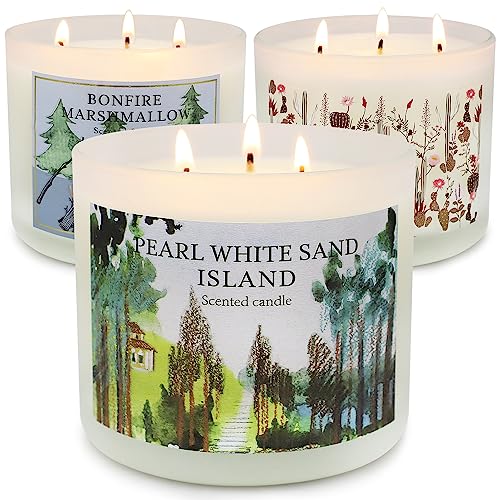 3 Wick Scented Candles Gifts for Women, 3 Pack 13.4 Oz Large Candles for Home Scented, Soy Wax Long Lasting in Total 225 Hours Jar Candles for Birthday, Mother's Day, Anniversary, Thanksgiving