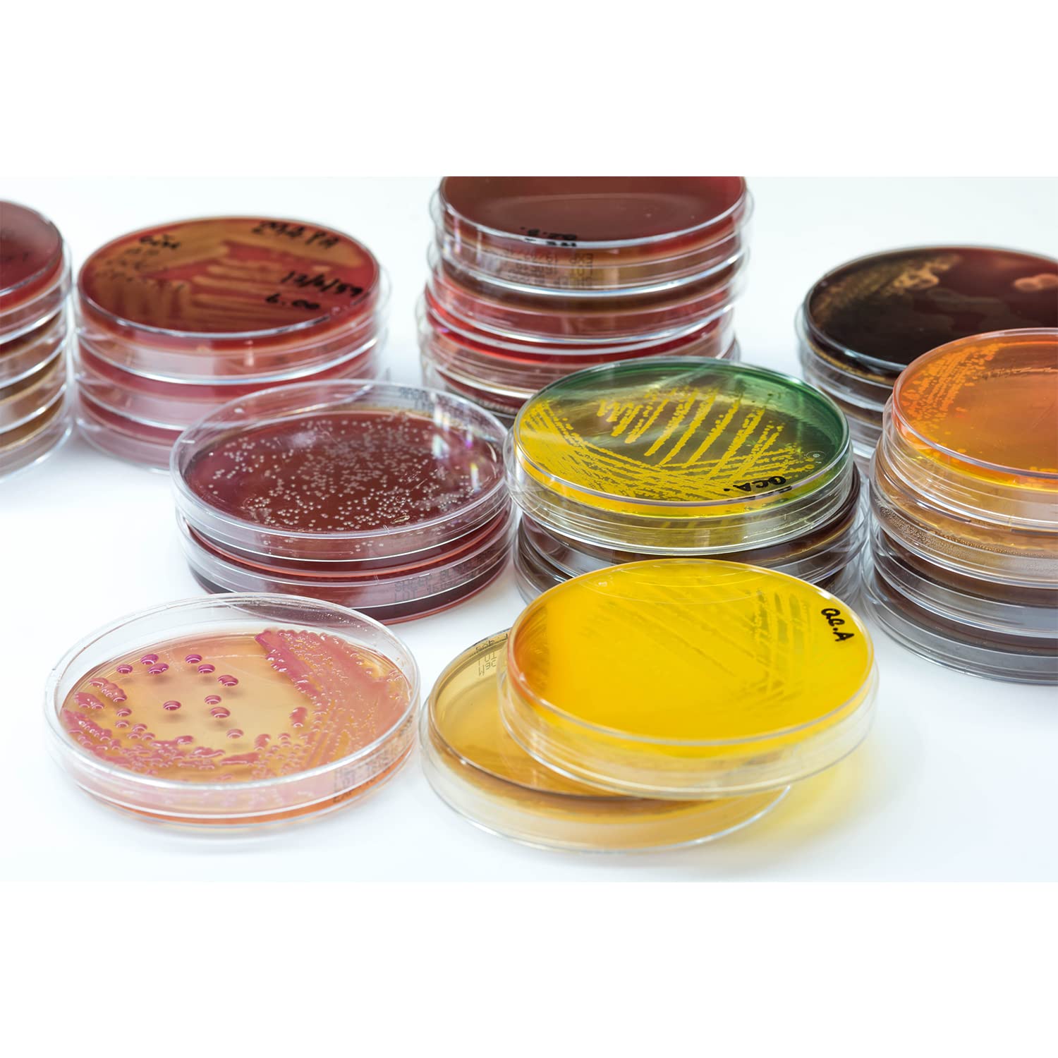 20 Pack Plastic Petri Dishes with Lids, 90 x 15mm Bioresearch Sterile Petri Dish, Culture Dishes for School Science Projects, Seeding, Storage, Biological Themed Party