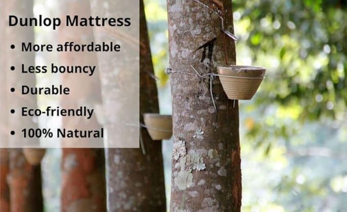 100% Natural Latex Mattress Topper - 2" Thick (Medium, Queen)