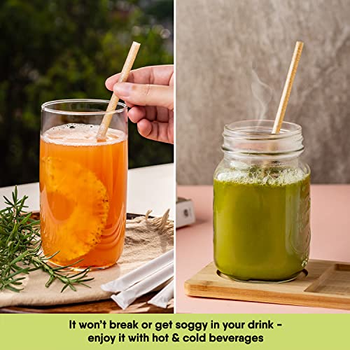100% Biodegradable Eco-Friendly Wrapped Straws, 100ct – 8.25"H, Made of Vegetable Fibers