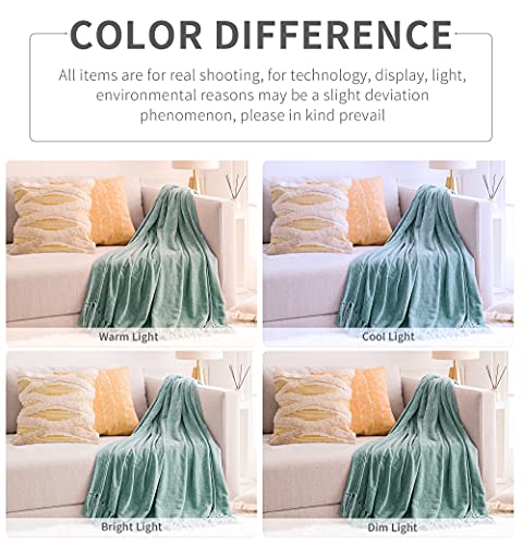 RECYCO Throw Blanket Soft Cozy Chenille Throw Blanket with Fringe Tassel for Couch Sofa Chair Bed Living Room Gift (Sage, 50'' x 60'')