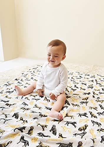 Mud Pie Labrador Retriever Print Muslin Baby Swaddle Blanket, 1 Piece