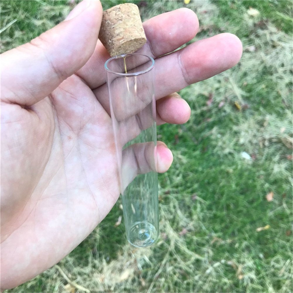 22120mm 30ml Empty Glass Transparent Clear Bottles with Cork Stopper Glass Vials Jars Storage Bottles Test Tube Jars 24pcs (24, 30ml)