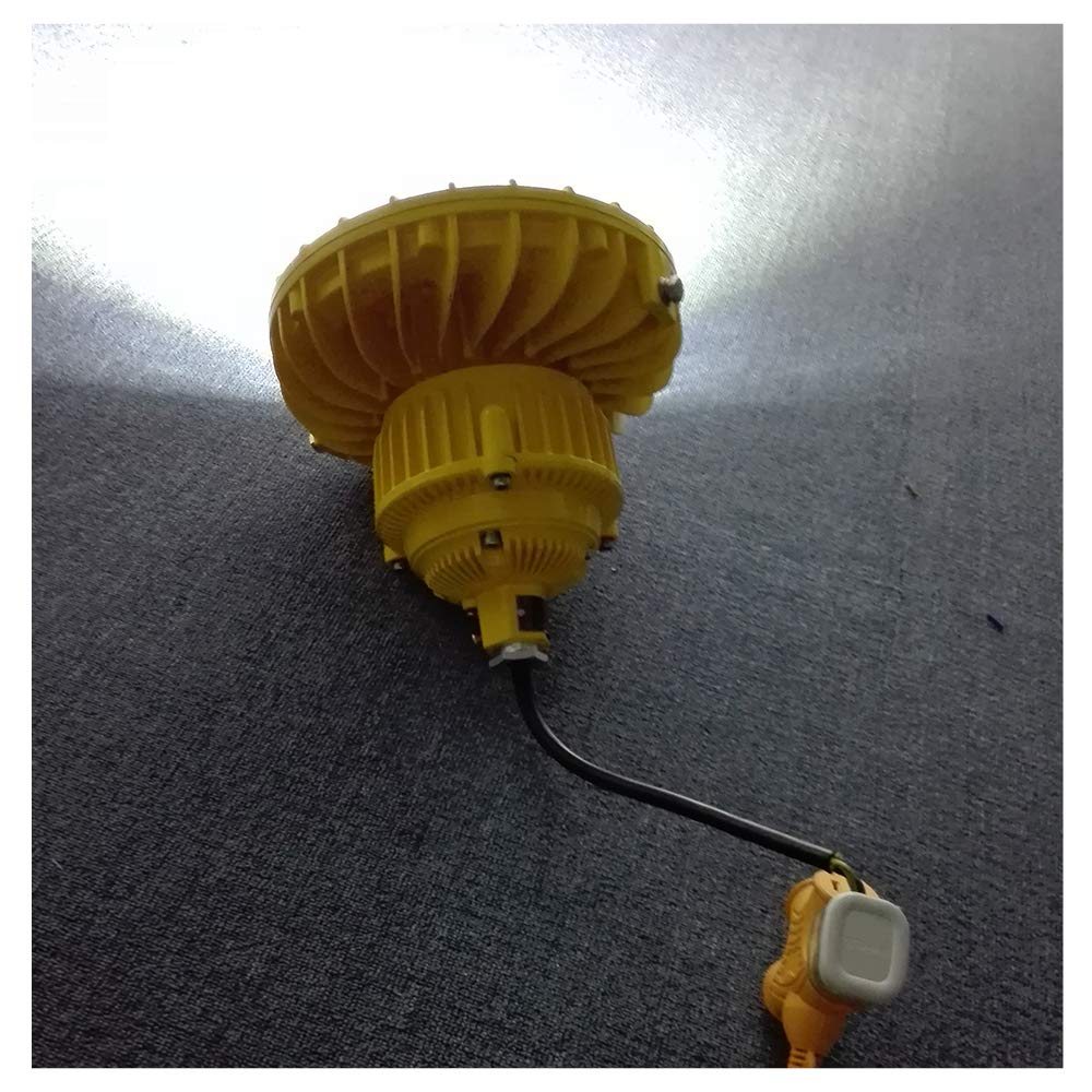 100w led Explosion-Proof Light high Bay Explosion Proof led Light with Exdemb II CT6 and Anti-Corrosion Rating WF2, IP66 Waterproof ATEX LED Gas Station Light (100)
