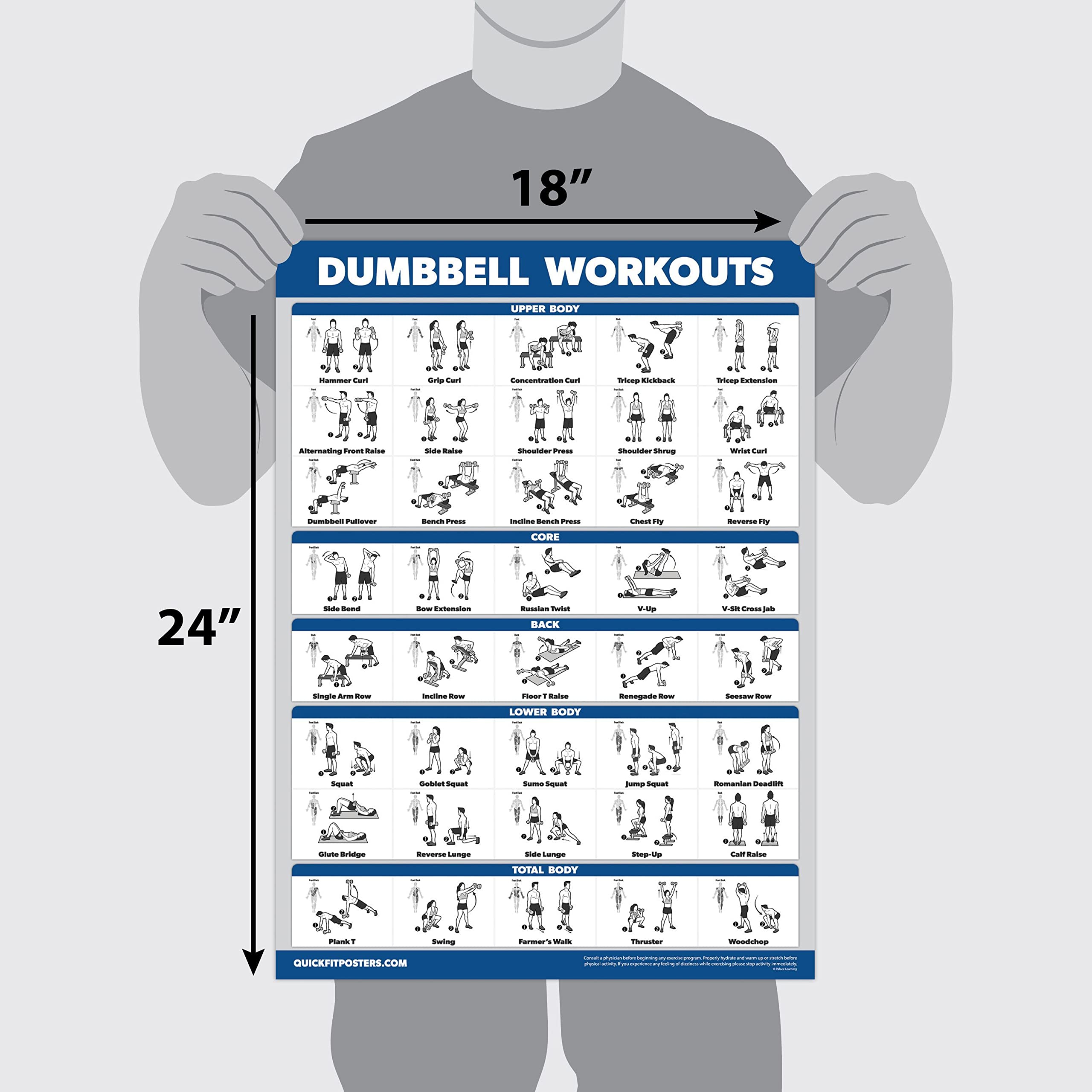 11 Pack - Exercise Poster Set: Dumbbell, Suspension, Kettlebell, Resistance Bands, Stretching, Bodyweight, Barbell, Yoga, Exercise Ball, Muscular System, Medicine Ball (LAMINATED, 18" x 24")