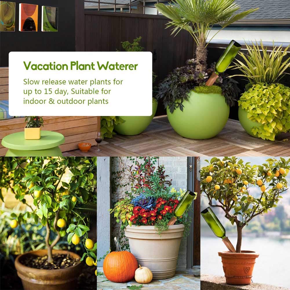Sedmoon Plant Watering Spikes 6 Pack Self Watering Terracotta Spikes Automatically Water Your Indoor and Outdoor Plants While On Vacation