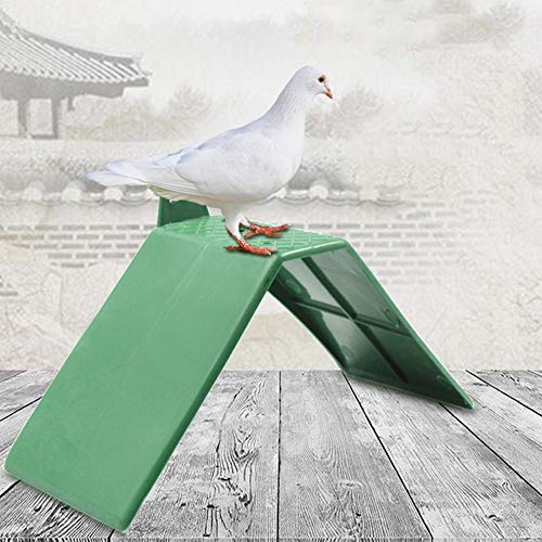 Ejoyous Pigeon Rest Stand-10pcs Plastic Small Plastic Bird Perch Dove Rest Stand Anti-Skid Perches Roost Frame for Bird Supplies (Green)