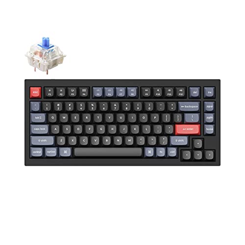 Keychron Q1 RGB Wired Custom Mechanical Keyboard, QMK/VIA Programmable Macro with 75% Layout Hot-swappable Gateron G Pro Blue Switch Double Gasket Compatible with Mac Windows Linux (Black) -Version 2