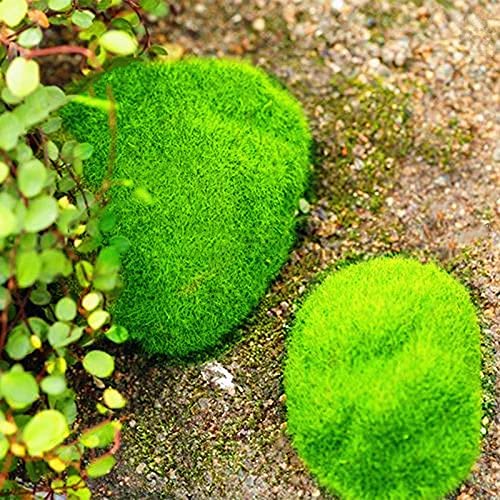 100Pcs/Pack Moss Seeds Home DIY Bonsai Decoration Grass Seeds Potted Plants Seeds