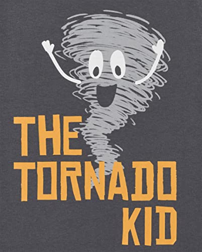 The Children's Place boys Baby and Toddler Short Sleeve Graphic T- 2-pack T Shirt, Handsome/Tornado, 18-24 Months US