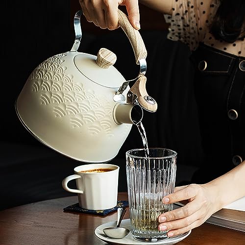 2.5L Stainless Steel Tea Kettle Teapot with Foldable Anti-Heat Handle,for Gas Hobs, Induction and Electric Hobs▂19 * 23cm/7.48"*9.06"
