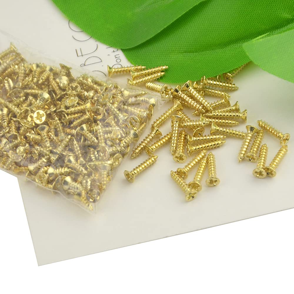 XINGYHENG 1200pcs 6 Kinds M2 M2.5 Gold-Plate Carbon Steel Flat Head Self Tapping Screw Stainless Cross Recessed Pan Head Screw Assortment Kit Collected in A Convenient Case